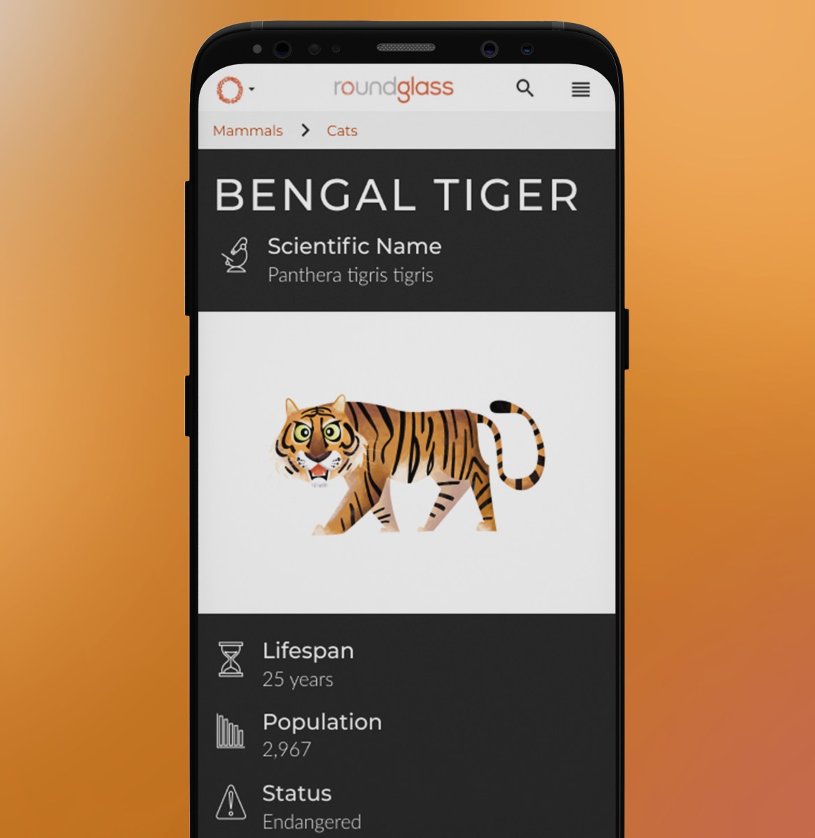 RoundGlass Sustain: Deep Dive – CAITLIN LARSON